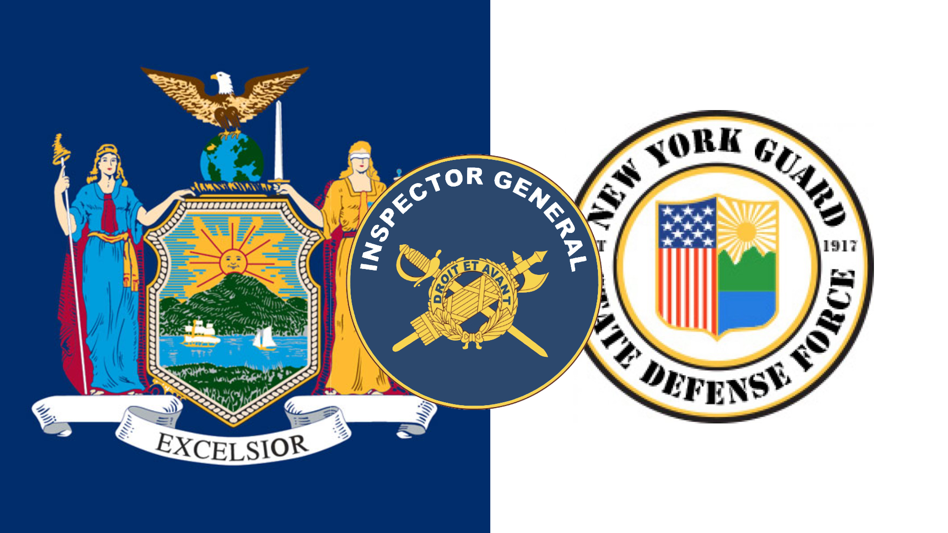 Ensuring State Defense Force Troops Meet The High Standards Of The ...