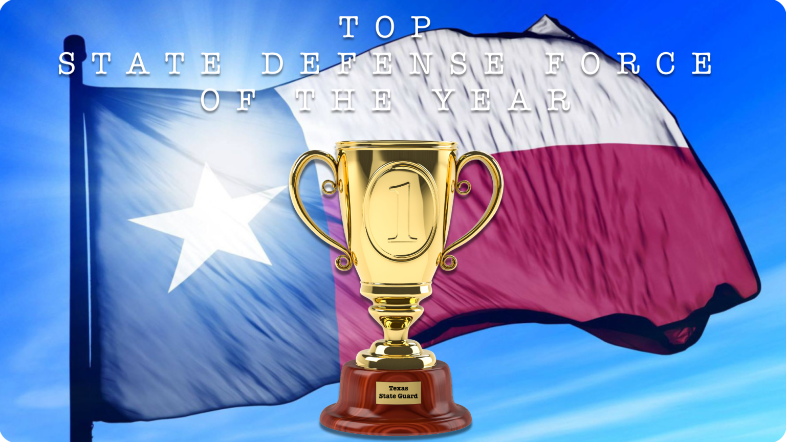 State Defense Force Report Card 2023-2024 - StateDefenseForce.com