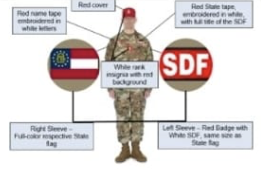 National Guard Bureau About To Make Shocking Change to State Defense ...